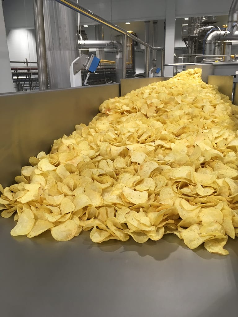 Conveying and Seasoning - Potato And Kettle Style Chips